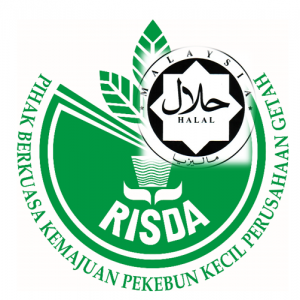 Senarai kesesatan dan penyelewengan Sisters in Islam - Indahnya Islam