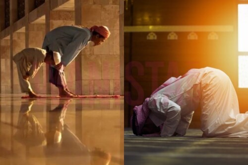 Doa dan zikir ketika rukuk & sujud - Indahnya Islam